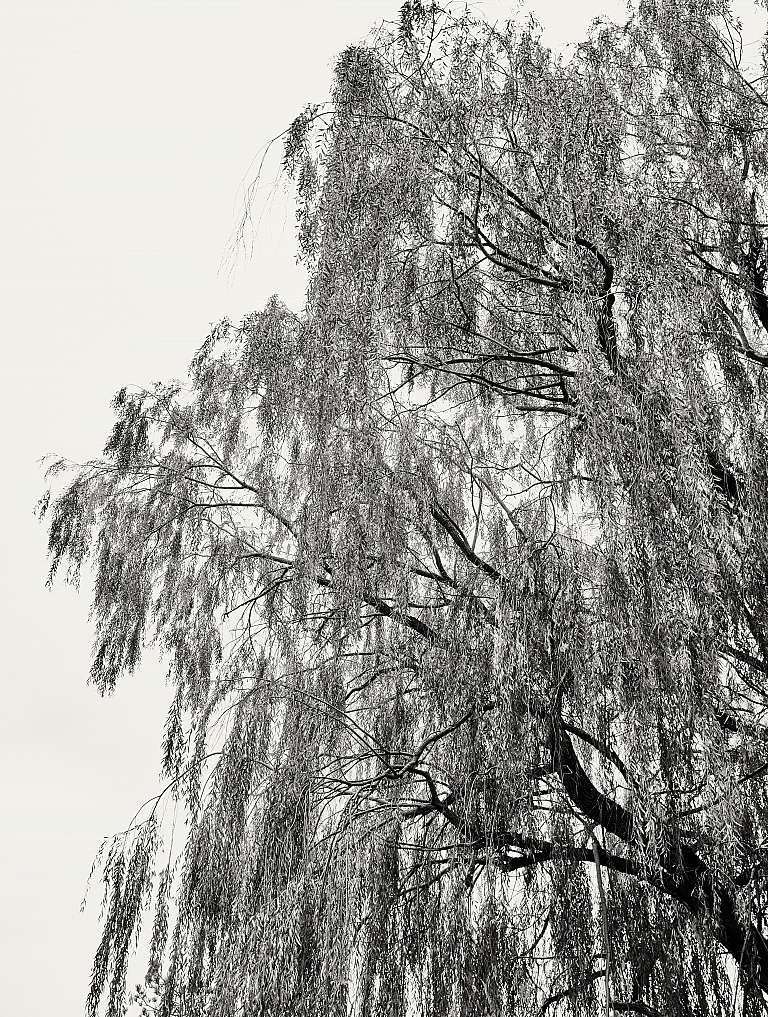 INNESS | Home