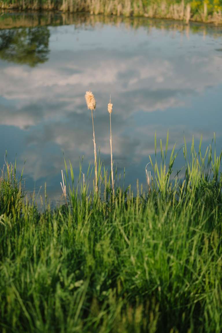 INNESS Luxury Resort and Amenities in Accord, Upstate NY