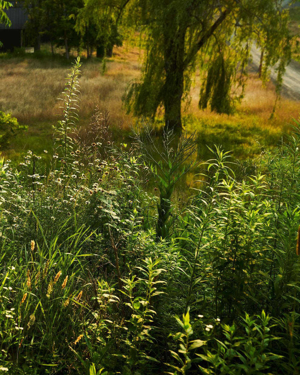 INNESS Luxury Resort and Amenities in Accord, Upstate NY