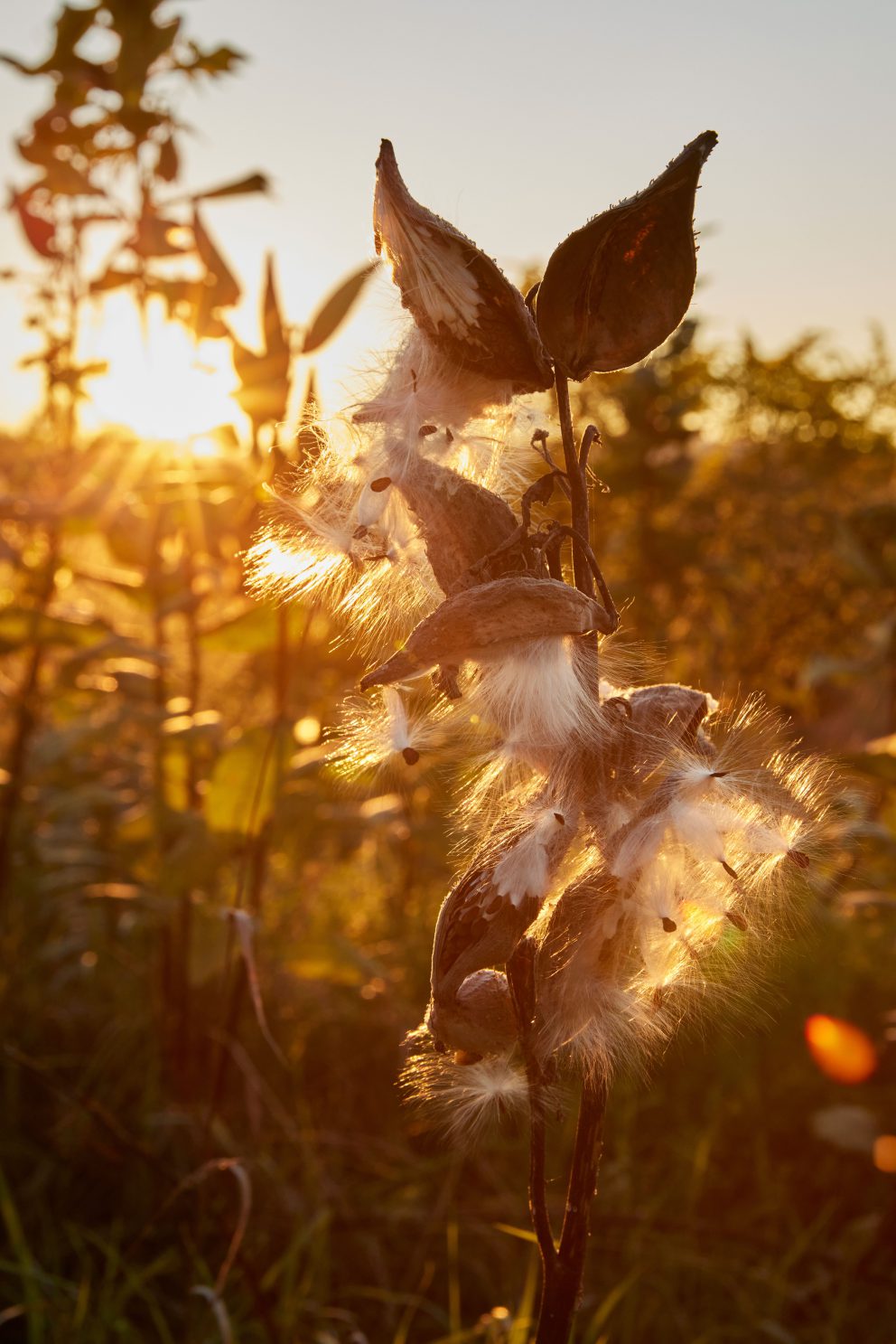 INNESS Luxury Resort and Amenities in Accord, Upstate NY