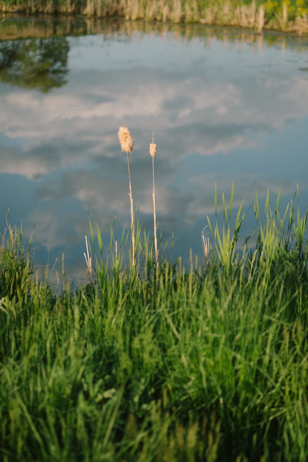 INNESS Luxury Resort and Amenities in Accord, Upstate NY